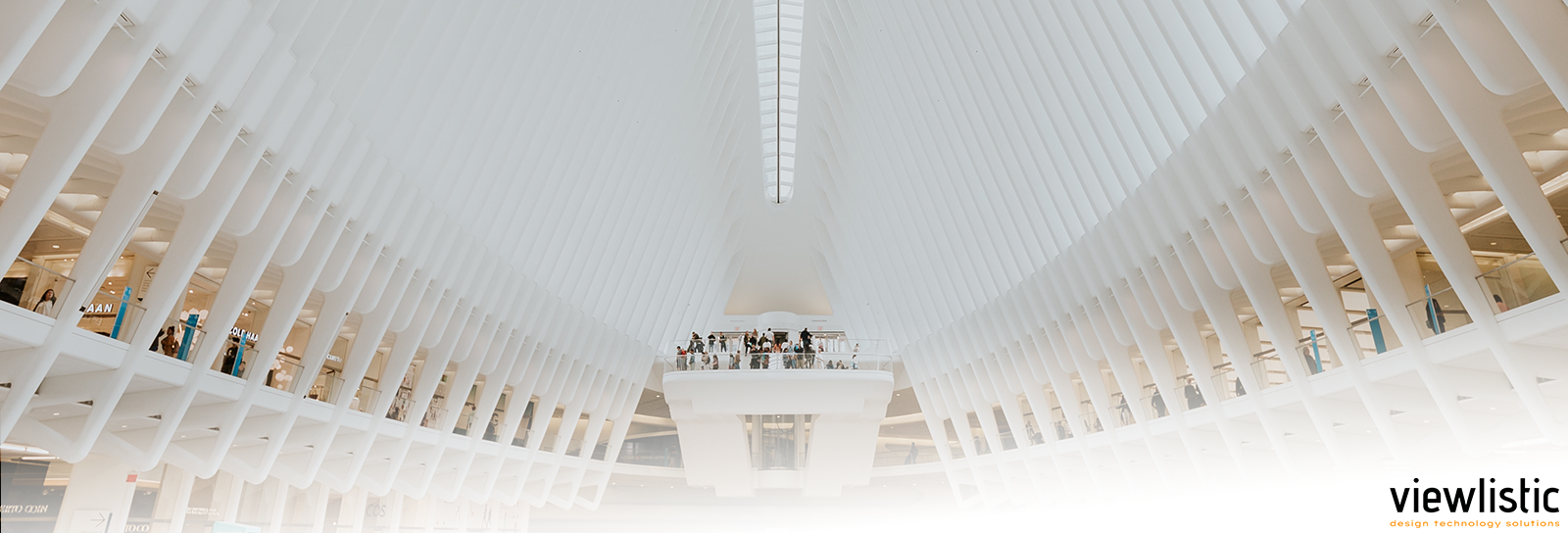 Services - Viewlistic