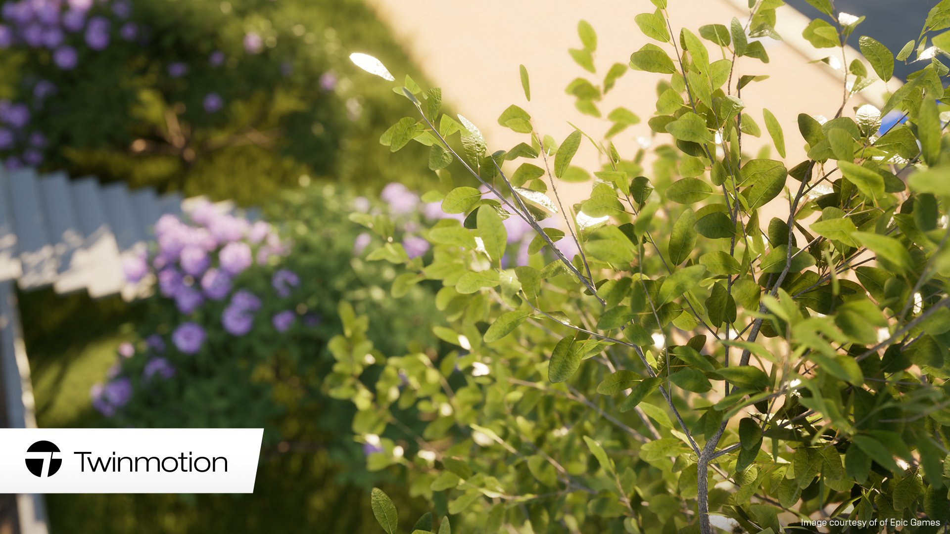 Twinmotion Australian Reseller